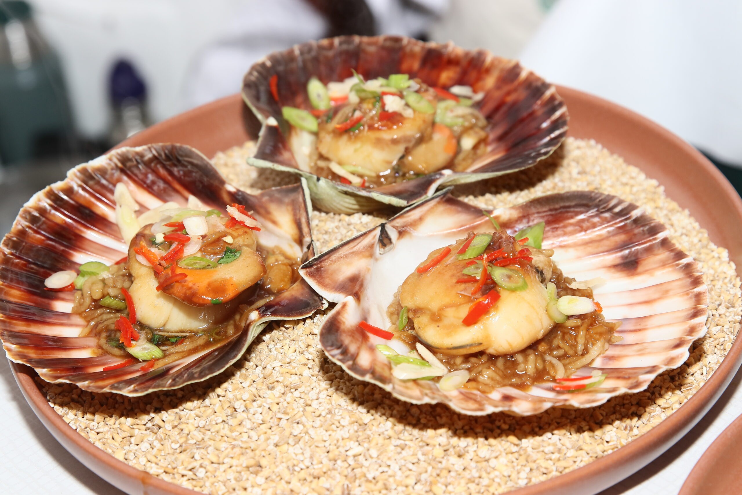 Speciality Winner 2022 - Chris Young - Golden Spurtle®